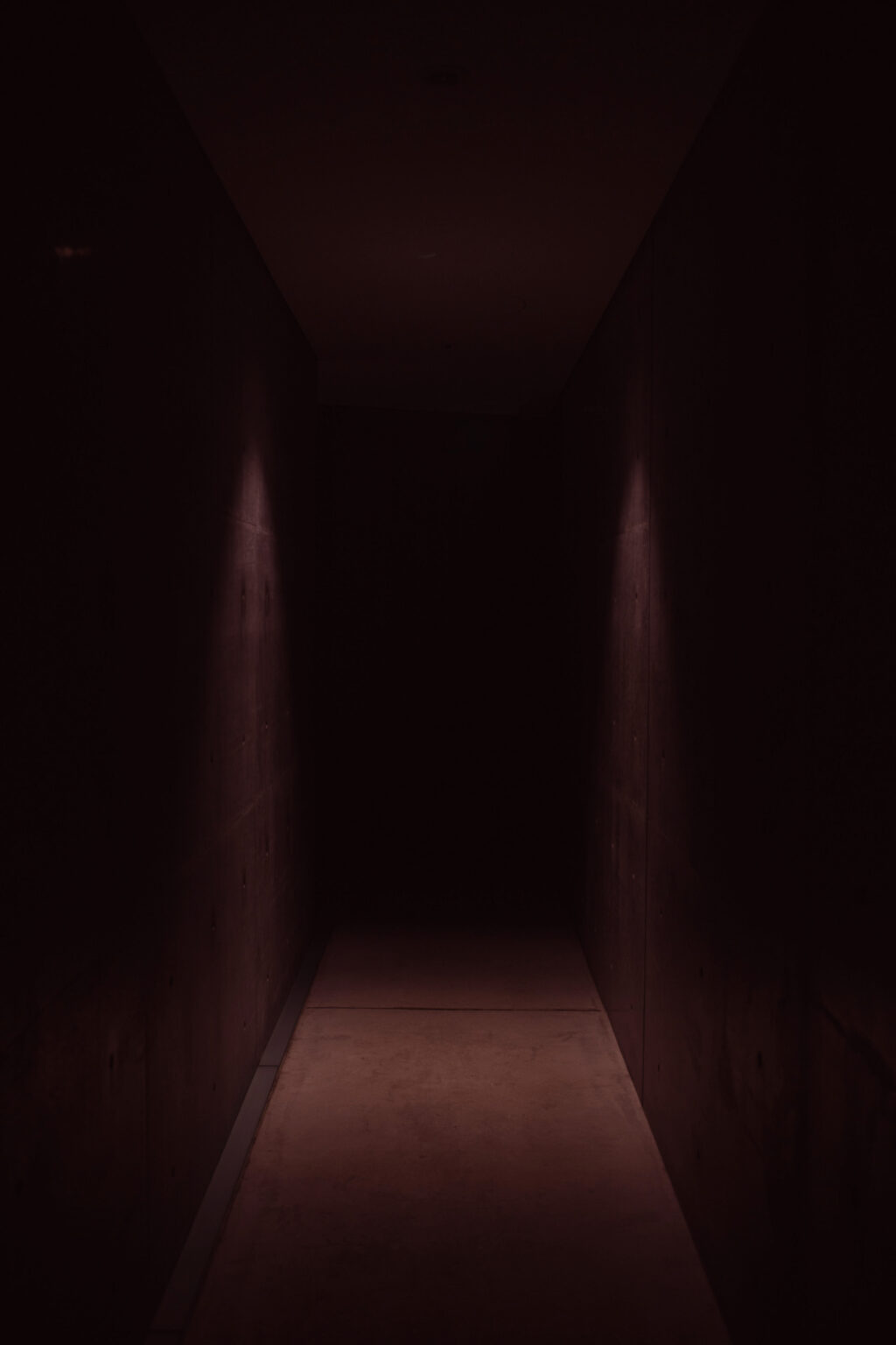 The Elevator Game - Everything You Need to Know